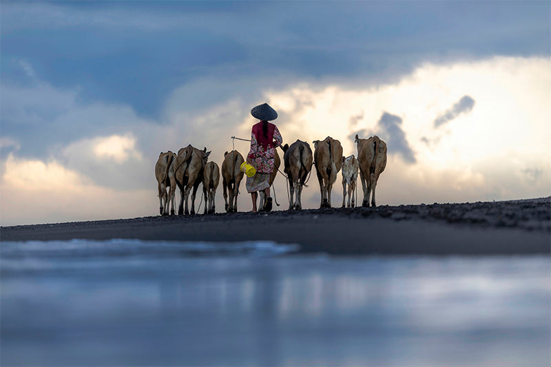 Timeless Journey – Imperfect Frame