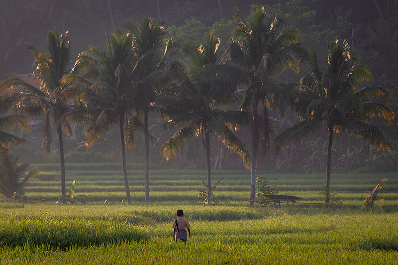 Morning Passage – Imperfect Frame