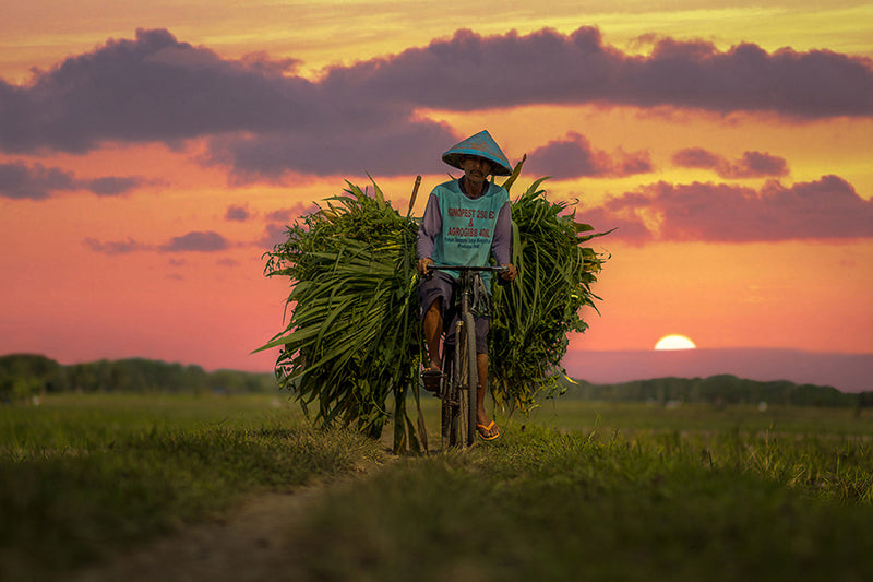 The Road Home – Imperfect Frame