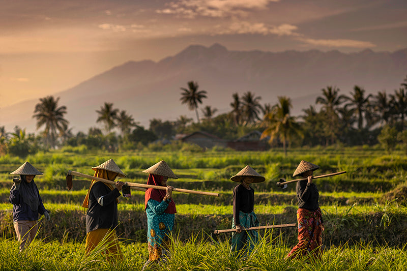 Berlima – Imperfect Frame