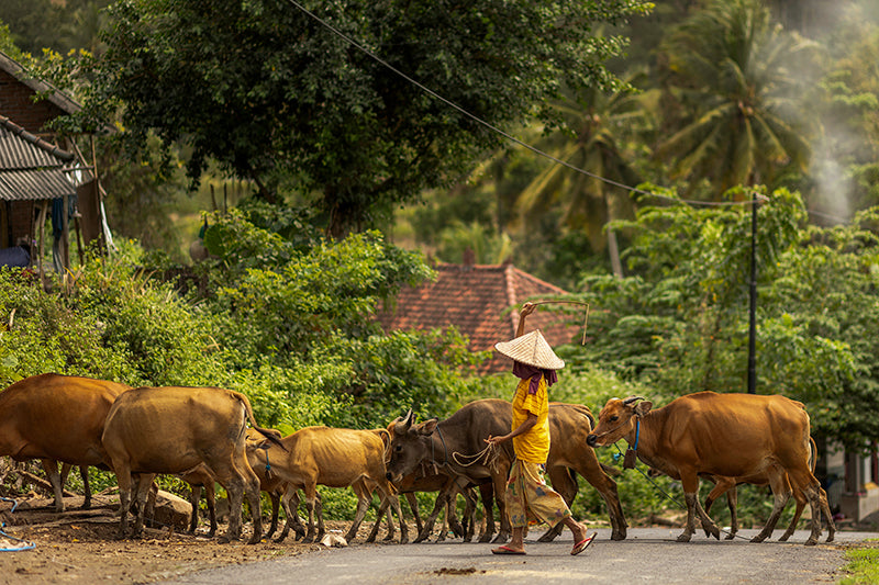 Ayo! – Imperfect Frame