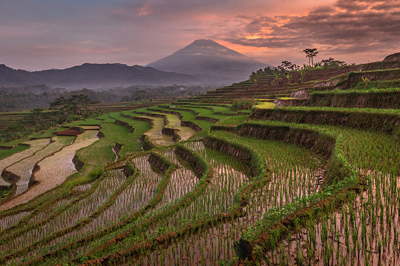 Magnitude – Imperfect Frame